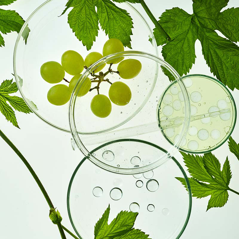 Introstem – Asia Beauty Concepts